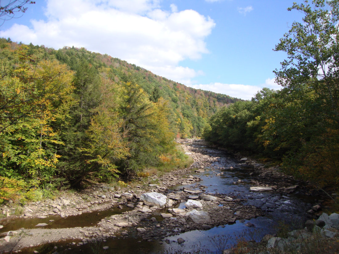 Loyalsock Creek named state’s top waterway | News, Sports, Jobs ...